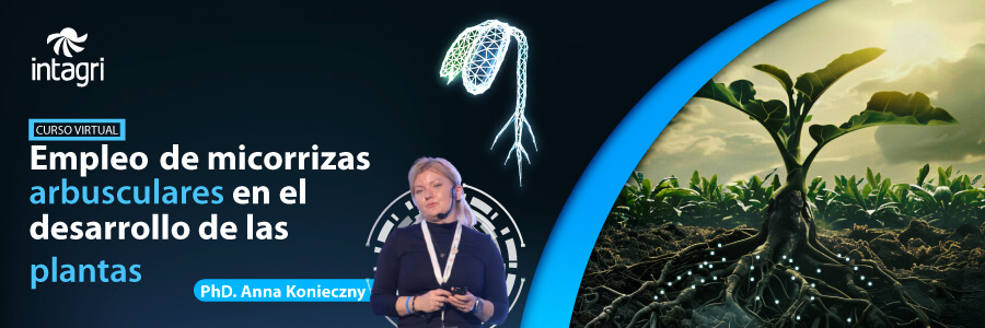 Curso Virtual: Empleo de Micorrizas arbusculares en el Desarrollo de las Plantas - Información ...